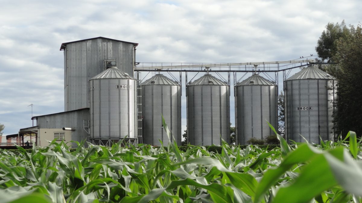 2018 Global Farmer Roundtable – Rodney Kili from Kenya – Global Farmer ...