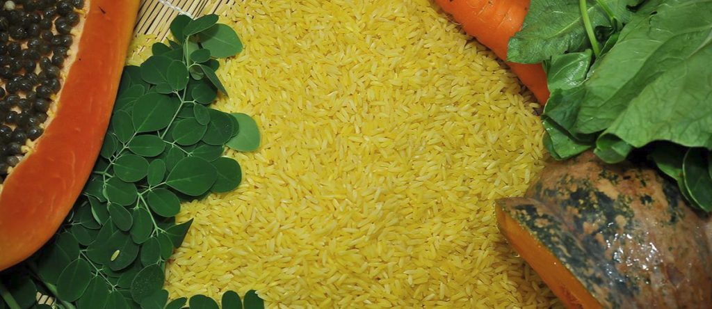 Philippines approves Golden Rice – Global Farmer Network