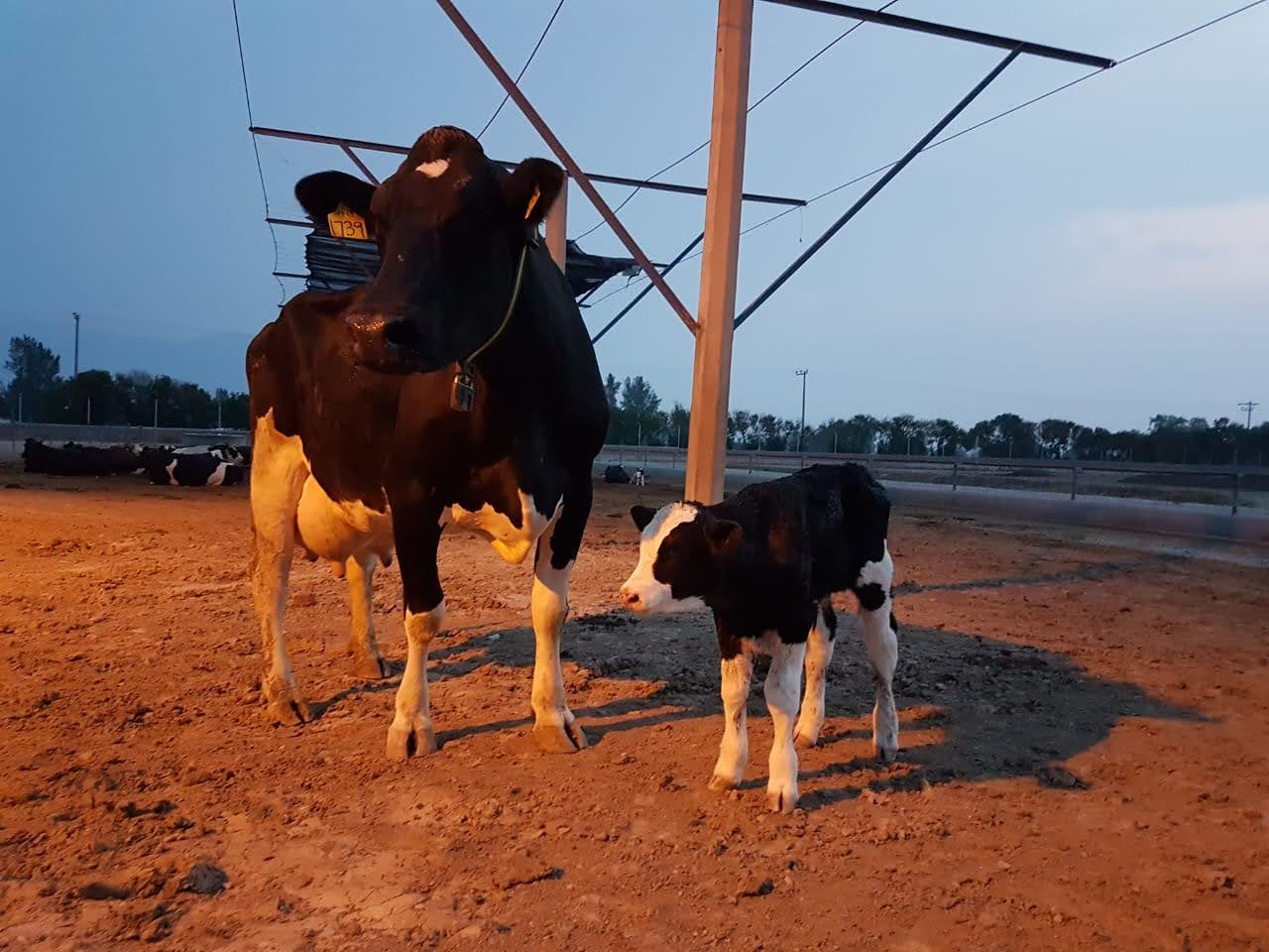 Celebrating the World’s Family Farms by Telling Their Stories: Ø§Ù„Ù ...