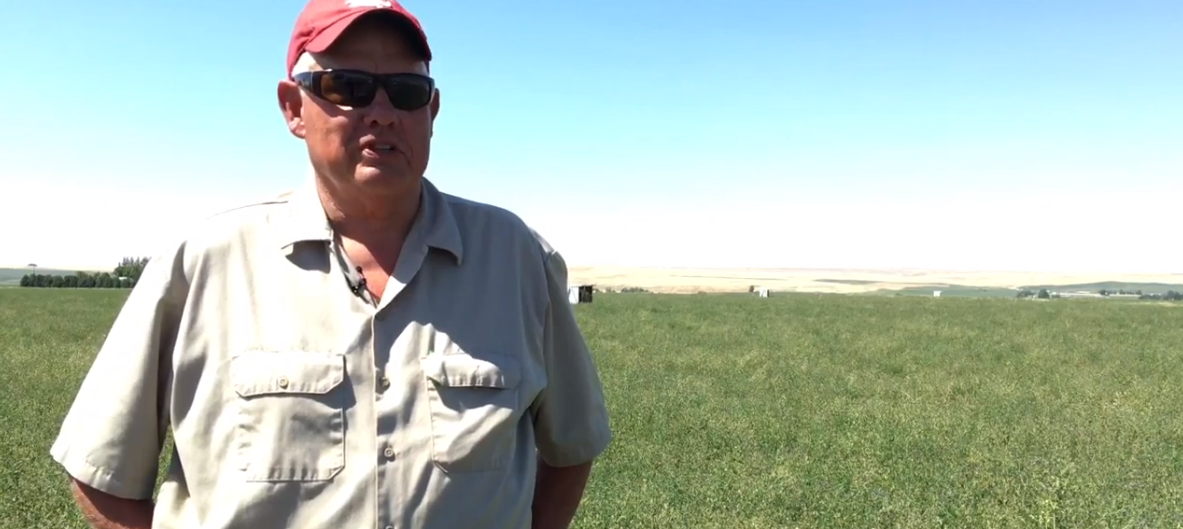 mark wagoner – Ð“Ð»Ð°Ð±Ð°Ð»ÑŒÐ½Ð°Ñ Ñ ÐµÑ‚ÐºÐ° Farmer