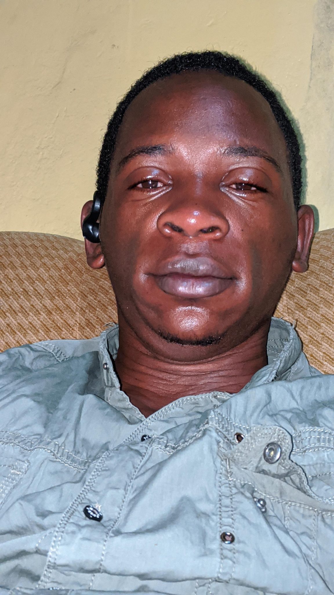 How Bees and Farmers Can Harness the Wonder of Pollination for ...