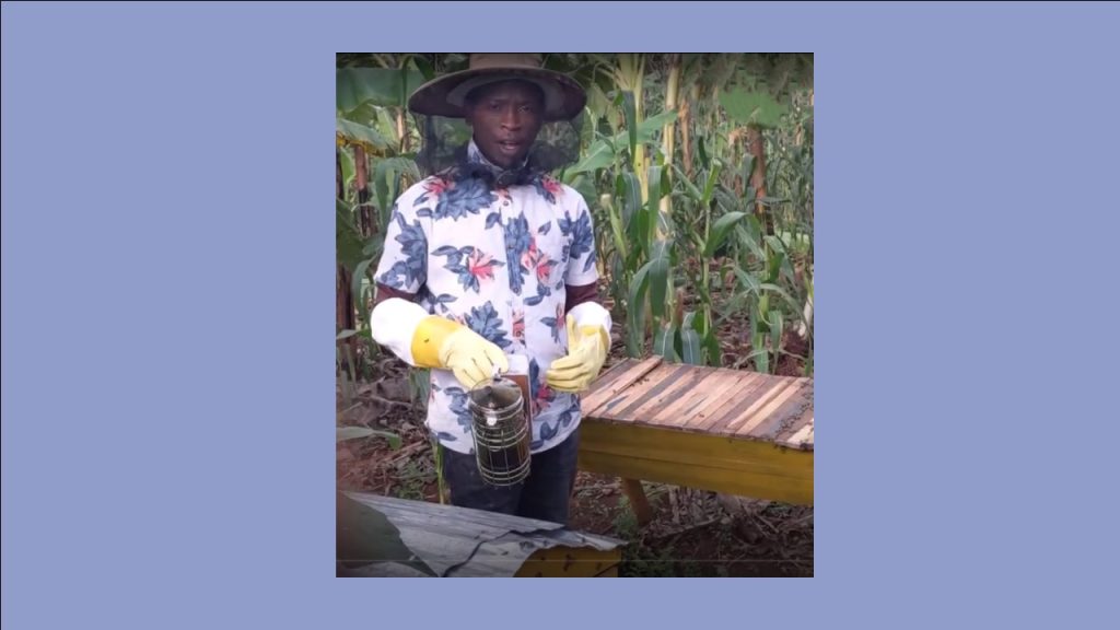 How Bees and Farmers Can Harness the Wonder of Pollination for ...