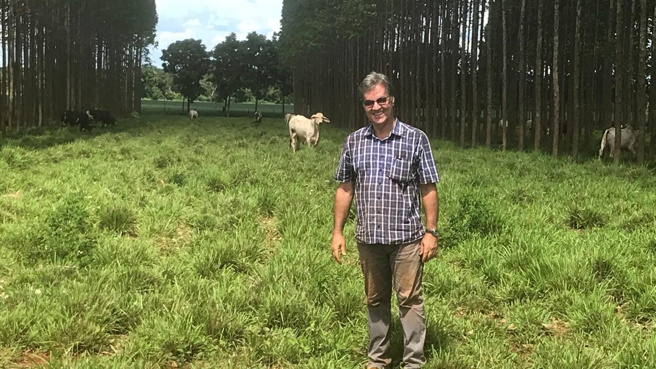 Restoring the Land Sustainably: A Brazil Success Story – Global Farmer ...